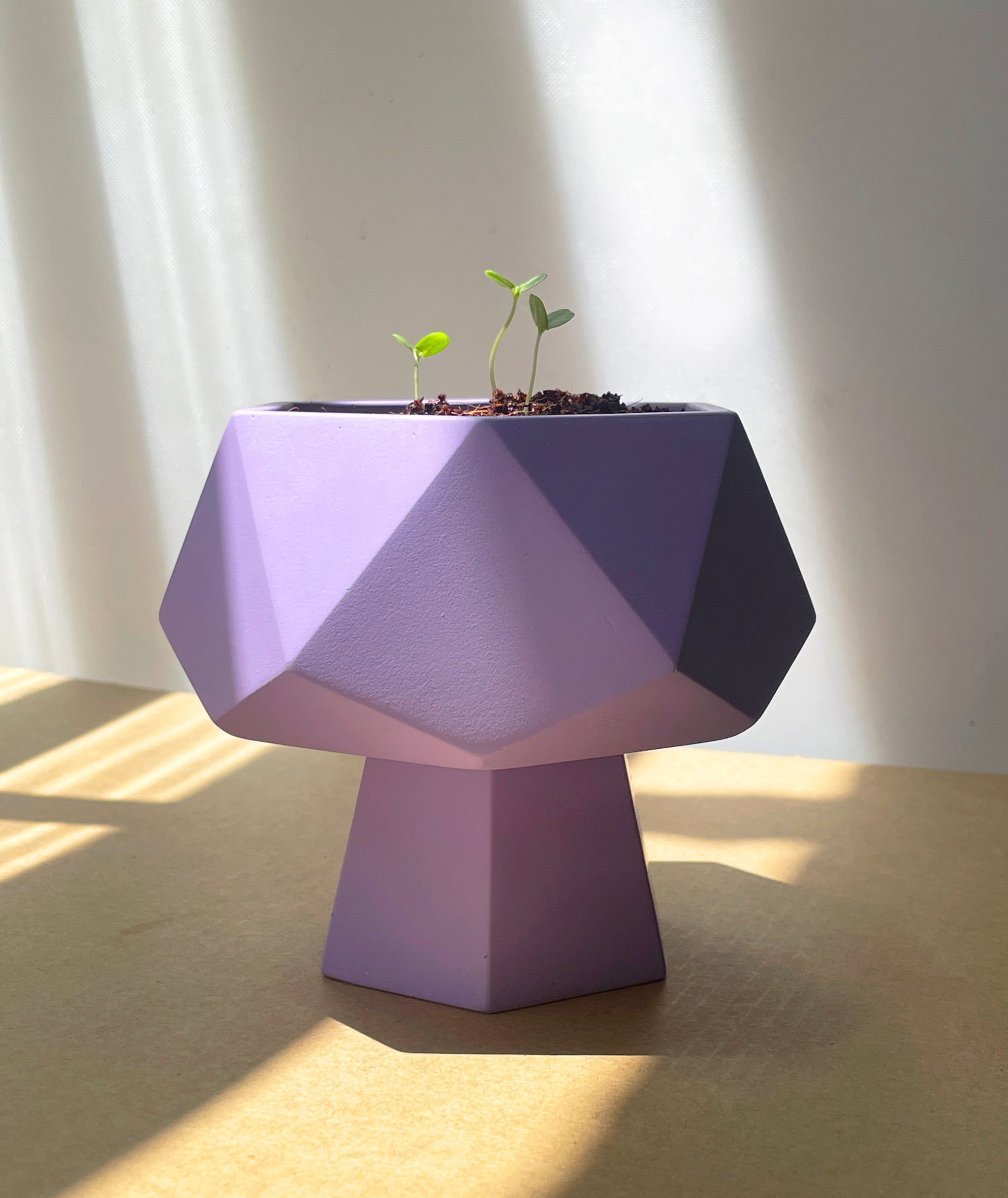 DREAM REALM – Lazar Deco