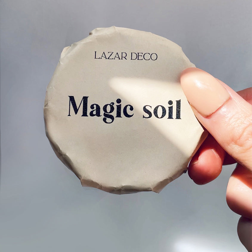 Magic Soil – Lazar Deco